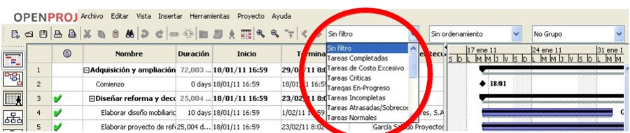 5.3.- Tablas y filtros para visualizar el progreso. Openproj.